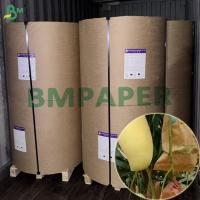 China Double Layer Waterproof 56gsm Fruit Protection Wrapping Paper For Mango 450mm for sale