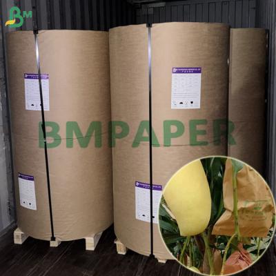 China Double Layer Waterproof 56gsm Fruit Protection Wrapping Paper For Mango 450mm for sale