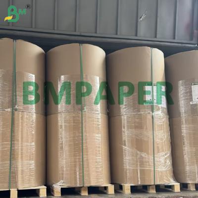 China 50gsm 54gsm White Coffee Filter Paper Roll Commercial Basket Brewers for sale