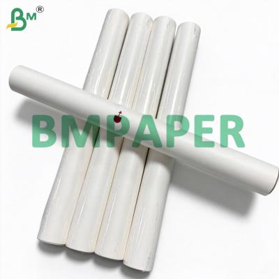 China 38gsm 40gsm Parchment Baking Paper Rolls 15in X 24ft/30ft/36ft/200ft for sale