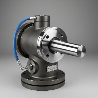 China Regulated Type Hydraulic Piston for Mill Including Hard Chrome Plating Surface Treatment Ensuring Operation Under Heavy Loads for sale