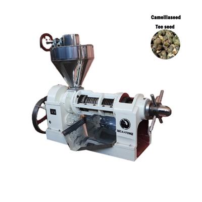 China Essential Oil Cold Electric Oil Press Machine With Protective Cover for sale