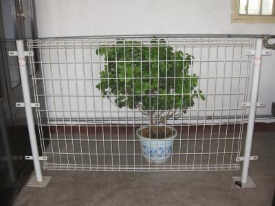 China High Quality / Hot Sale Ornamental Double Loop Wire Fence Really Factory for sale