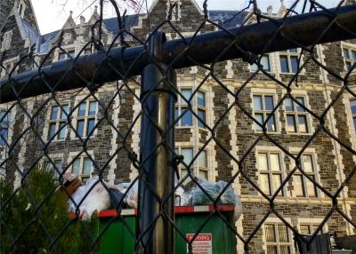 China Chain Link Wire Mesh Fencing, PVC Coated Chain Link Fences, Plastic Chain Link Fence for sale