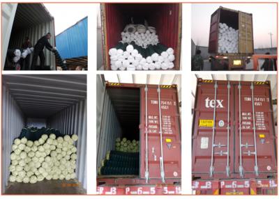 China Protected Products Chain Link Fence for Ball Park for sale