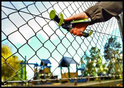 China 50mm x 50mm hurricane Fence Supplier ,Hot Dipped Galvanized ,Hurricane Chain Wire Fence for sale