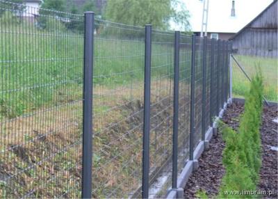 China PVC Coated Security Protected Fence/Wire Mesh Fence for sale