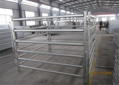 China Horse panels 1.6m x 2.1m and 1.8m x 2.1m 5 bars 6 bars available for sale
