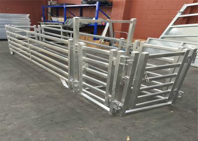China corral fence panels for sale