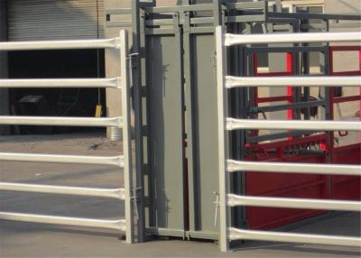 China From Budget Cattle Panels To Extra Heavy Duty Portable Corral Panels For Cattle for sale