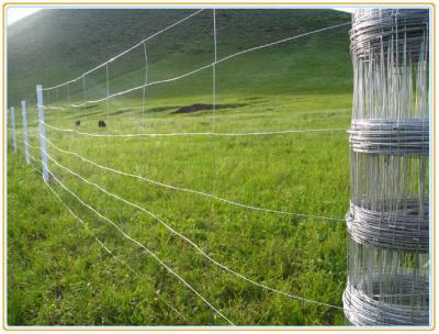 China Galvanized Wire Mesh Fence Field 164ft Zoo Wild Fencing Roll Hardware for sale