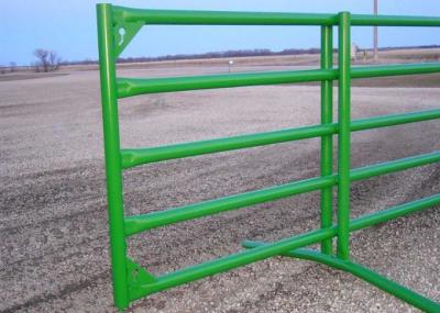 China Powder Coated Corral Panel, Chain Latch, 12 Ft Corral for sale