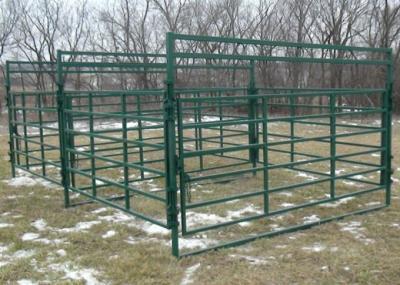 China 12 FT X 5 FT Horse Corral Fencing for sale