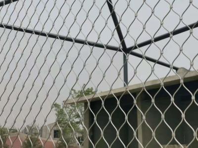 China Stainless Steel Wire Rope Mesh Australia for sale
