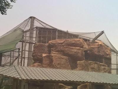 China stainless steel wire rope mesh for zoo for sale