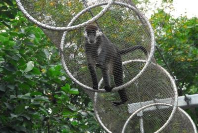 China Stainless Steel Wire Rope Mesh for monkey for sale