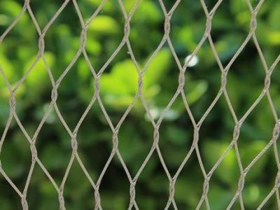 China Stainless Steel Wire rope aviary mesh for sale