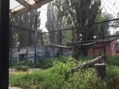 China Stainless steel aviary rope mesh for sale