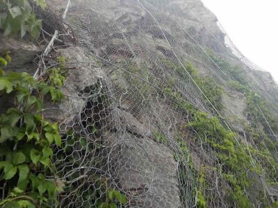China GPS-O Ring Nets for sale