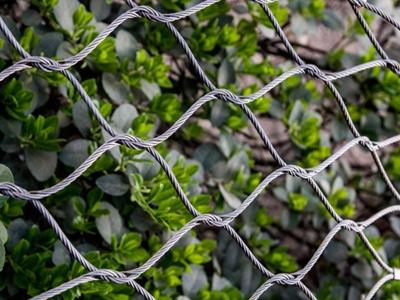 China 316L High Strength Stainless Steel Cable Mesh Safety Netting for sale
