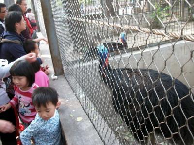 China Stainless Steel Wire Rope Mesh Metal Wire Mesh Zoo Mesh for sale