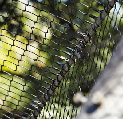 China Stainless Steel Wire Rope Mesh X tend wire rope mesh AISI 316L for sale