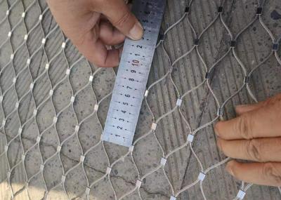 China x tend stainless steel zoo mesh for sale