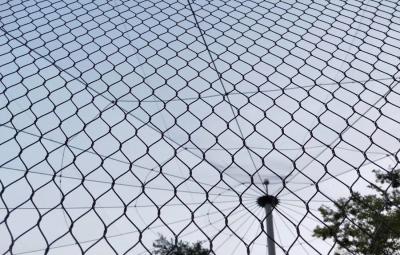 China flexible x-tend cable 304 316 stainless steel rope mesh for sale