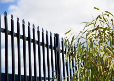China press point spear powder coated satin black steel fence 2100mm x 2400mm for sale