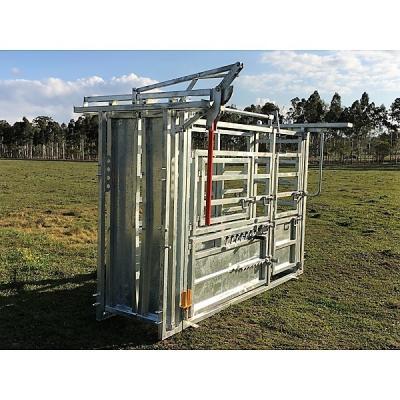 China Australia Standard Vet Cattle Crush without Y section for sale