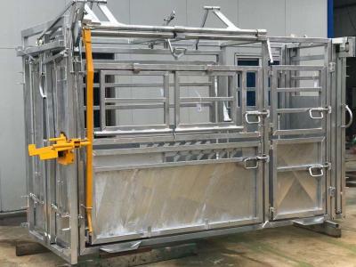 China Standard Vet Cattle Crush with Y section Australia Standard Complied for sale