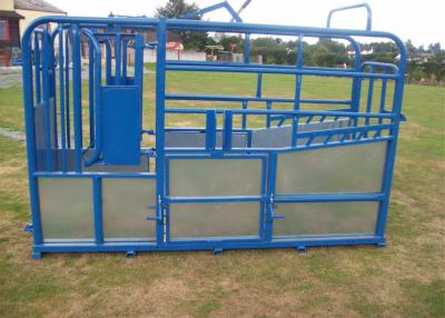 China UK Standard complied Cattle Crush for sale