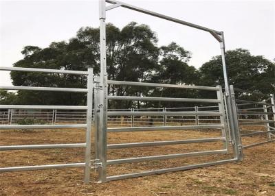 China Cattle Yard Panels 1.6mx1.8m 0val 30mmx60mm design Farm Fencing for sale
