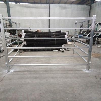 China Cattle Panels 50mm * 50mm RHS * 1.6mm thickness for sale