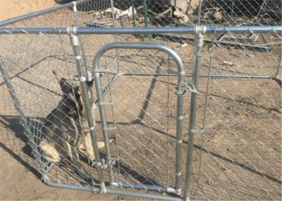 China 3 x 3 x 1.8m dog kennel Outer tubing mesh 75x75x2.0 dog kennel hdg tube for sale
