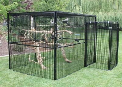 China Customized  Bird Aviary /Parrot Aviary Customized Own Size for sale