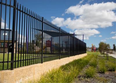 China Hot sale ornamental steel fence( factory ,ISO 9001 certificate for sale
