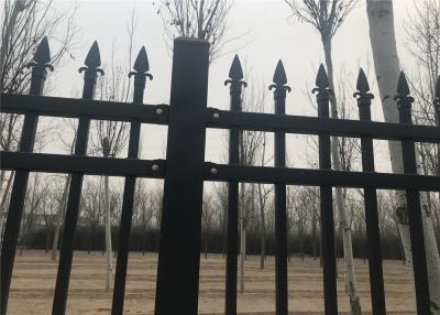 China Coated Steel Garden and Park Fence 1200mm x 2400mm stain RAL 6005 color upright 25mmx25mm for sale