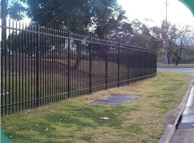 China 2100mm height x 2450mm width square flat picket HERCULES steel fence 25mm upright x spacing 125mm rail 40mm stain powder for sale