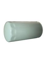 China Customized Fleetguard Ff5421 Fuel Filter For Truck for sale