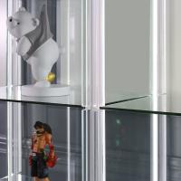 China Store Display Stand Acrylic Custom Clear Plexi Glass Display Showcase with Doors for sale