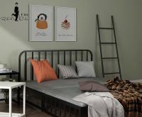 China Bedroom Furniture Antique Design King Size Futon Sofa Bed with Foldable Mechanism for sale