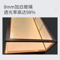 China LED Lighted Glass Display Cabinets for Retail Racks and Customized Jewelry Showcase for sale