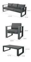 China Modern Style Metal Sofa Set with Customizable Options Retail Shops' Must-Have for sale