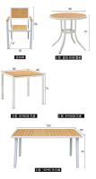 China Outdoor Pool Table Sets with Modern Design Style and Corrosion-resistant Metal Sheet for sale