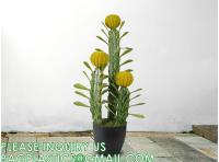 China Artificial Succulent Plants - Realistic Artificial Flowering Cactus, Fake Succulent Plant Decor for Home Office for sale