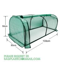 China Heavy-Duty Poly Balcony Large Walk In Tunnel Plastic Greenhouse Tent For Winter Indoor Garden Winter PVC Mini for sale