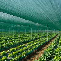 China Garden Shade Netting Shade Net Exporters Shade Net Supplier Shade Nets ​Shade Netting For Plants ​Agriculture Shade Net Shade Netting Shade Net ​Shade Net Manufacturers Sun Shade Net​ Shade Cloth for sale