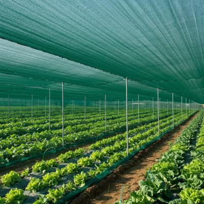 China Garden Shade Netting Shade Net Exporters Shade Net Supplier Shade Nets ​Shade Netting For Plants ​Agriculture Shade Net Shade Netting Shade Net ​Shade Net Manufacturers Sun Shade Net​ Shade Cloth for sale