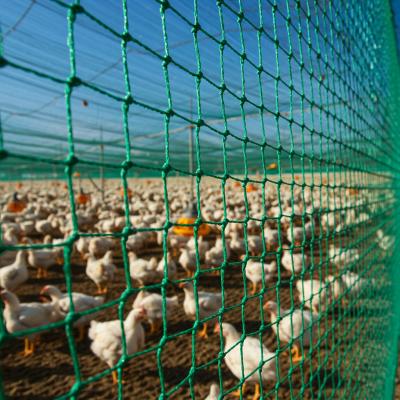 China Chicken Coop Predator Proof Apron,Chicken Wire Bottom Predators Resistant,Fence Netting Barrier For Chicken Coop for sale